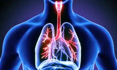 Respiratory Medicine Hospital in Vadodara | Parul Sevashram